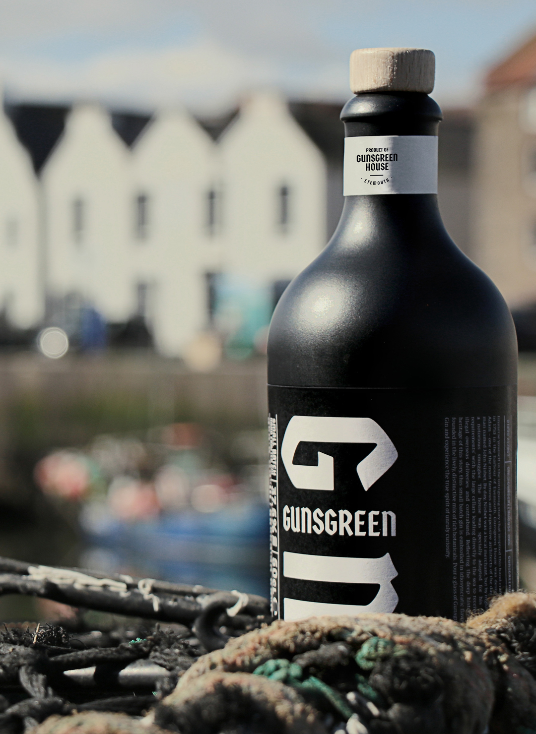 Gunsgreen House - Uncover a Hidden History